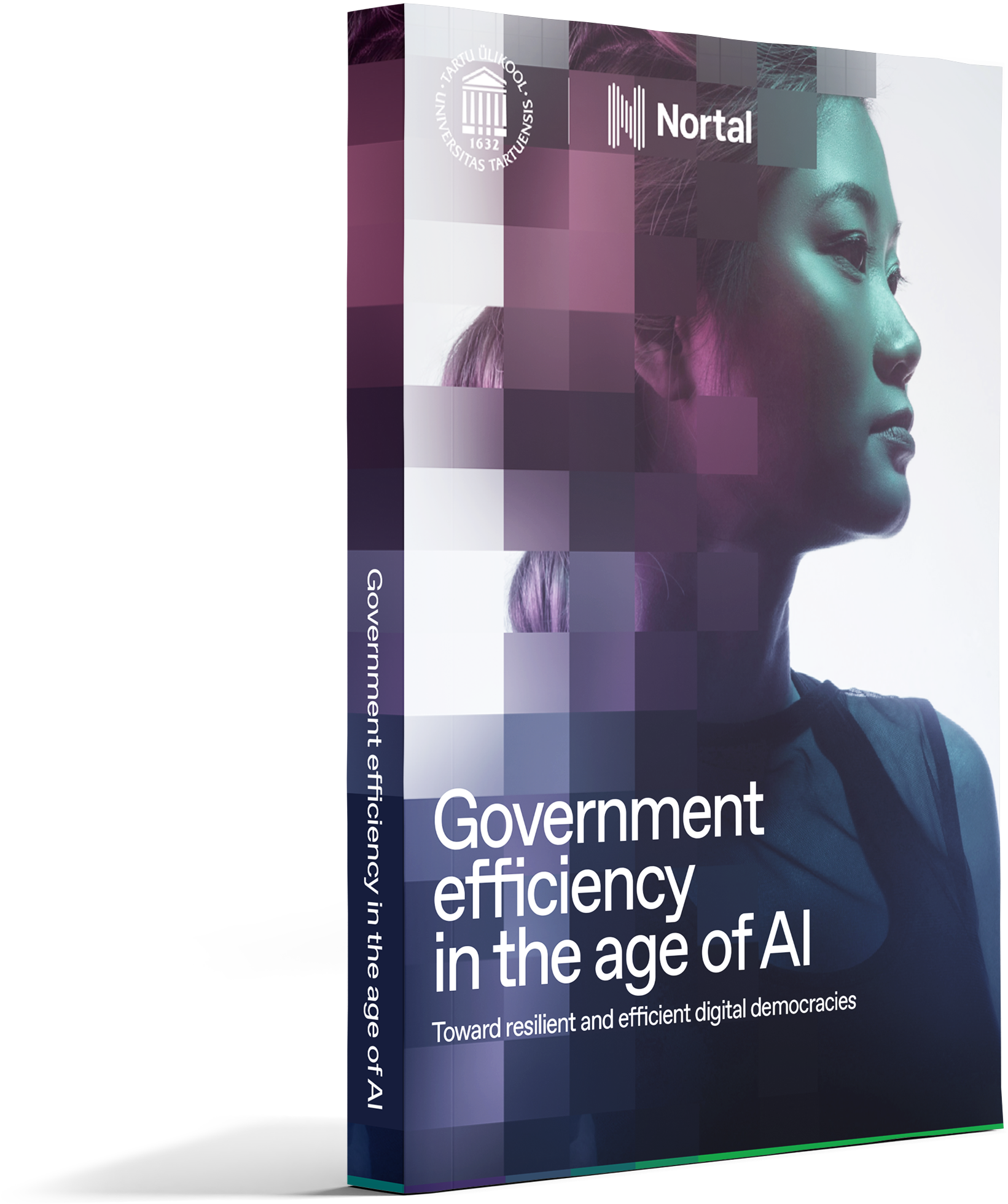 Government efficiency in the age of AI | Nortal